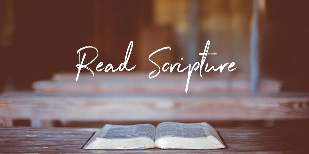 Daily Bible Reading – Living Our Bible