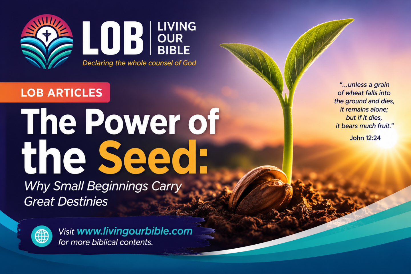 The Power of the Seed: Why Small Beginnings Carry Great Destinies ...